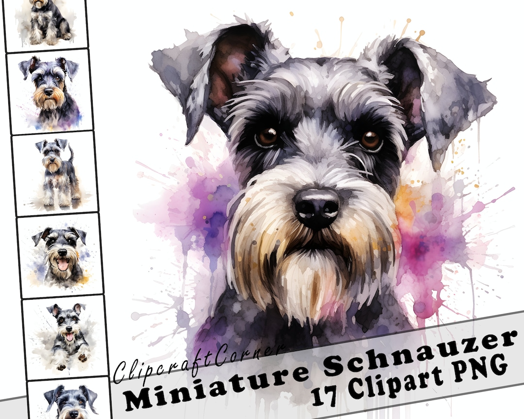 17 Miniature Schnauzer Clipart PNG Bundle Watercolor Dog - Etsy