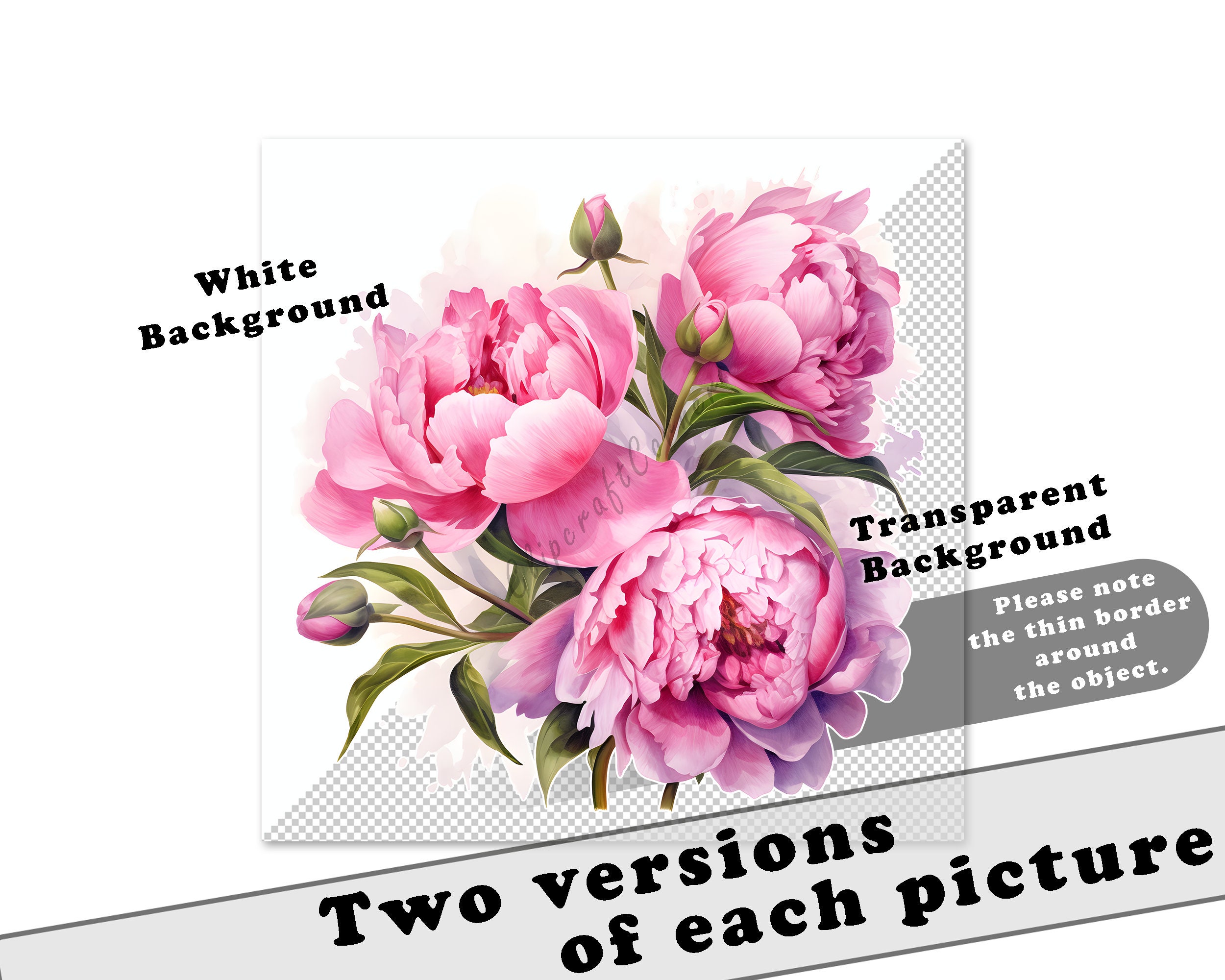 12 Pink Peony Clipart PNG Art Bundle Watercolor Flower Clipart PNG ...