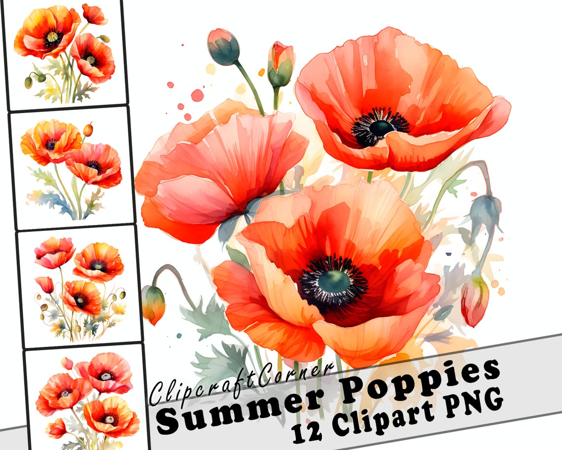 12 Summer Poppies Clipart PNG Art Bundle | Watercolor Flower Clipart ...