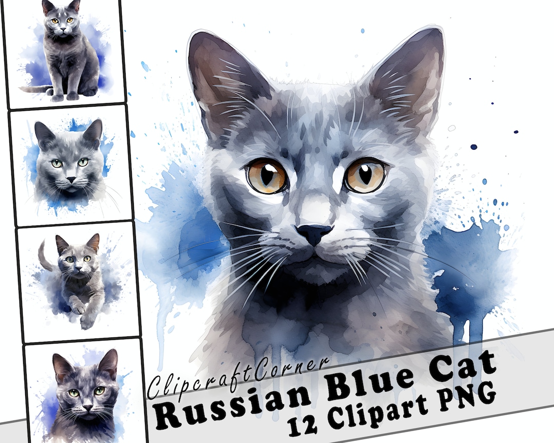 12 Russian Blue Cat Clipart PNG Bundle | Cute Watercolor Cat Clipart ...