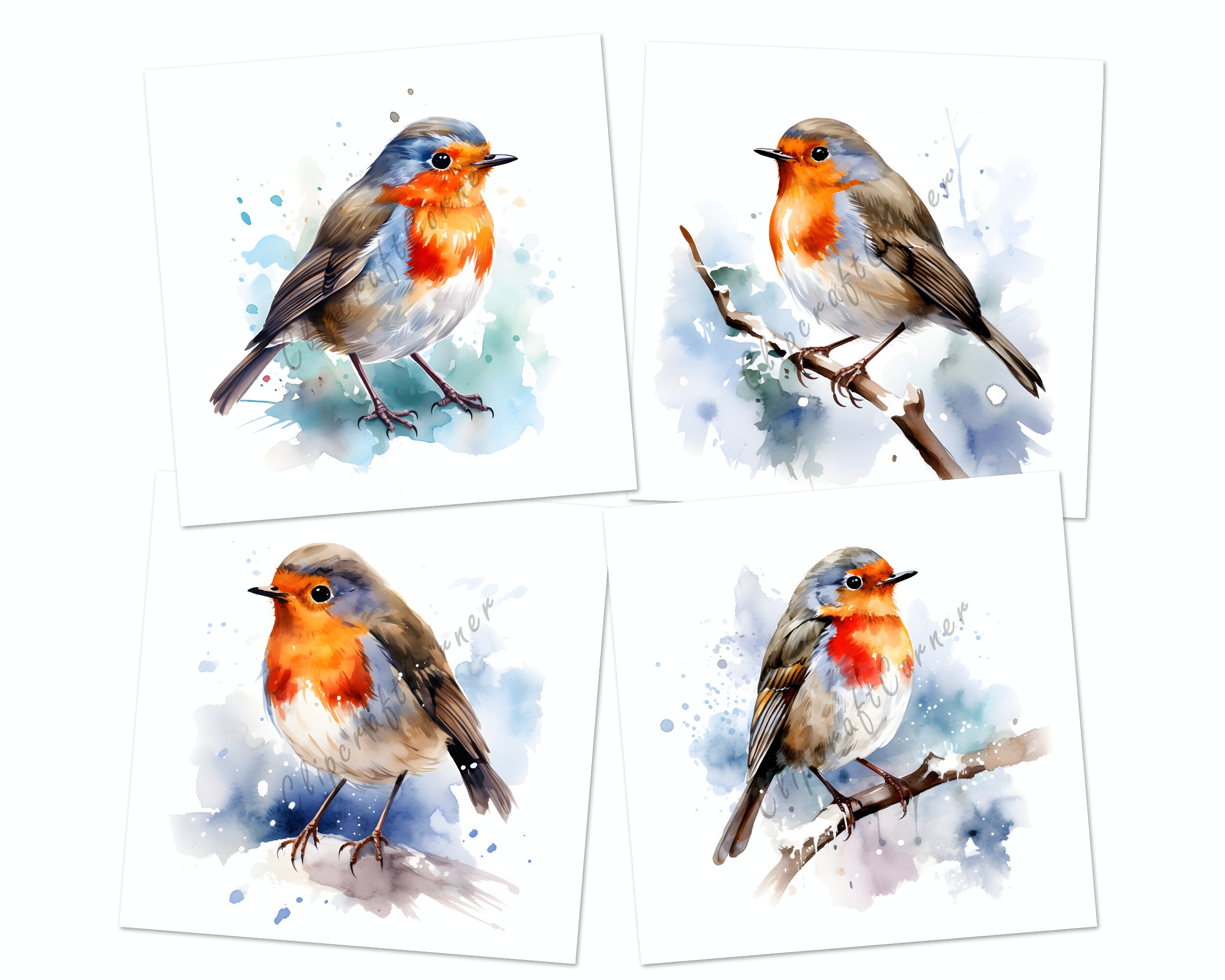 12 Winter Robin Clipart PNG Art Bundle | Watercolor Bird Clipart PNG ...