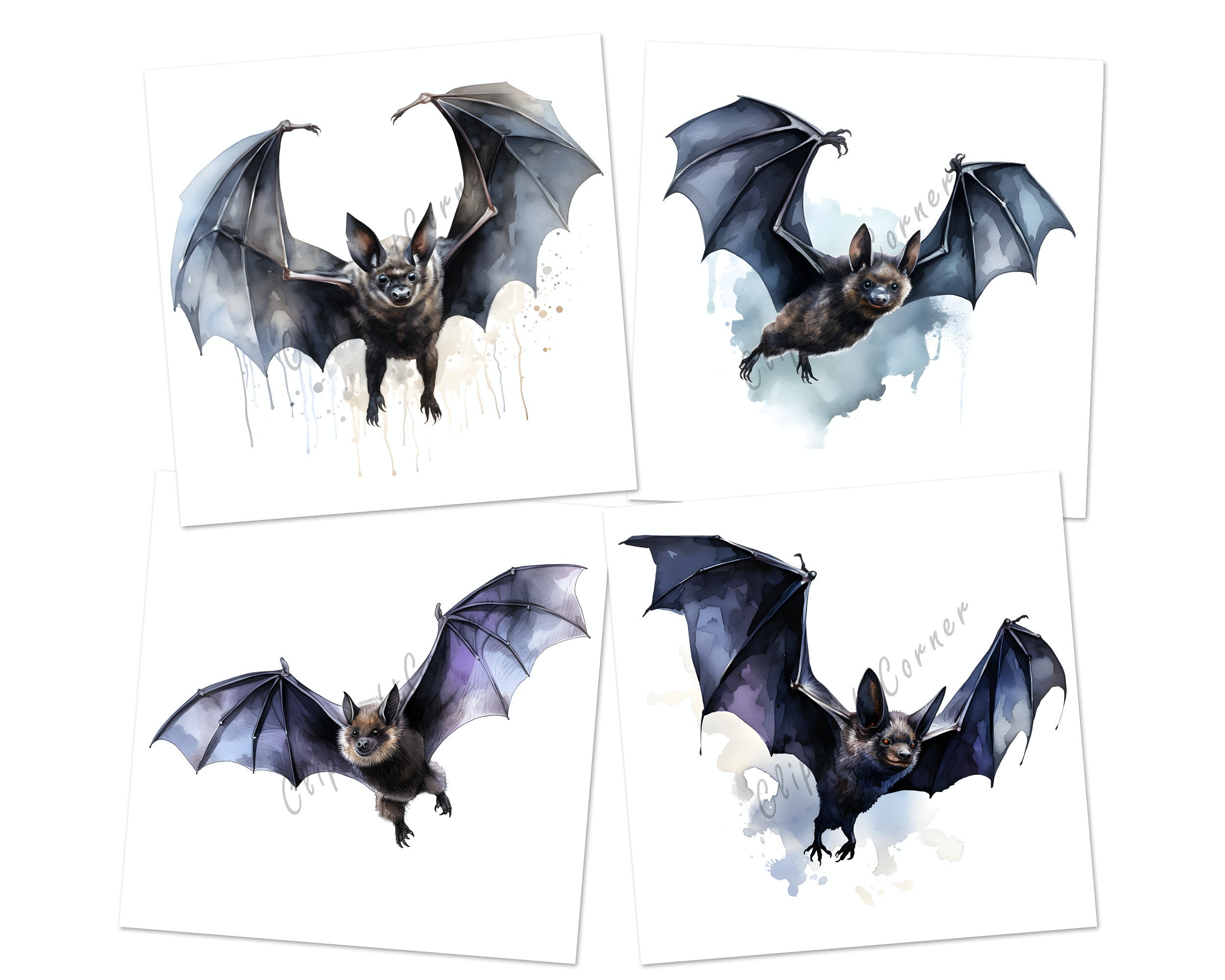 12 Bat Clipart PNG Forest Animal Bundle | Watercolor Bat Clipart PNG ...