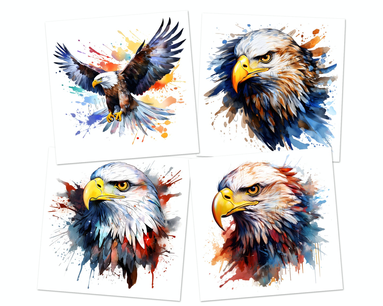 12 Eagle Clipart PNG Art Bundle Watercolor Bird Clipart PNG Artwork ...