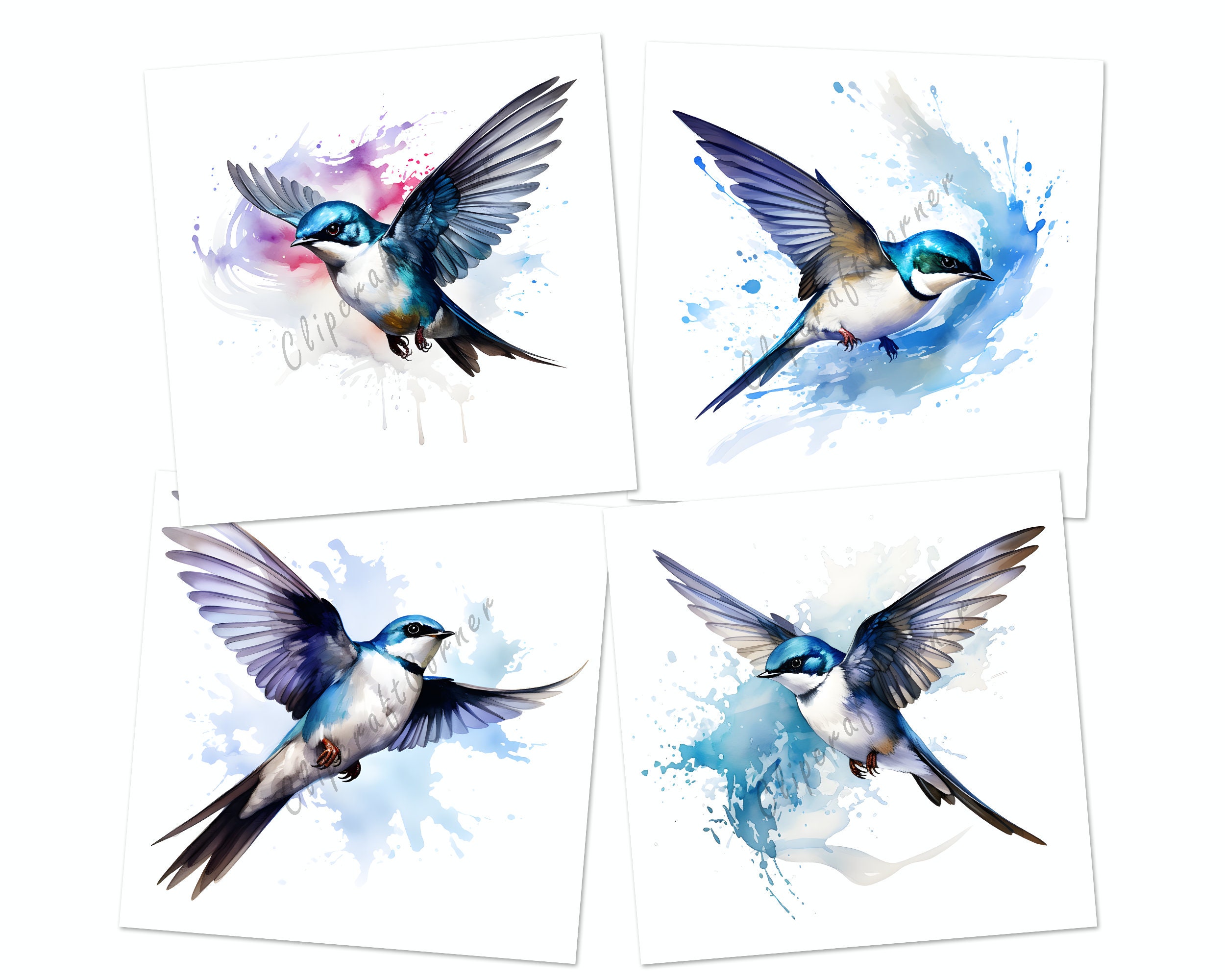 12 Tree Swallow Clipart PNG Art Bundle | Watercolor Bird Clipart PNG ...