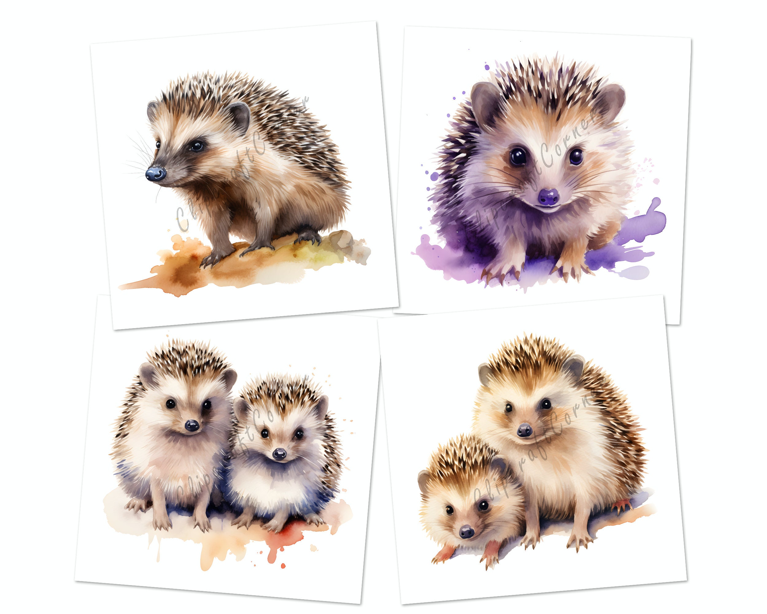 12 Hedgehog Clipart PNG Forest Animal Bundle | Watercolor Hedgehog ...