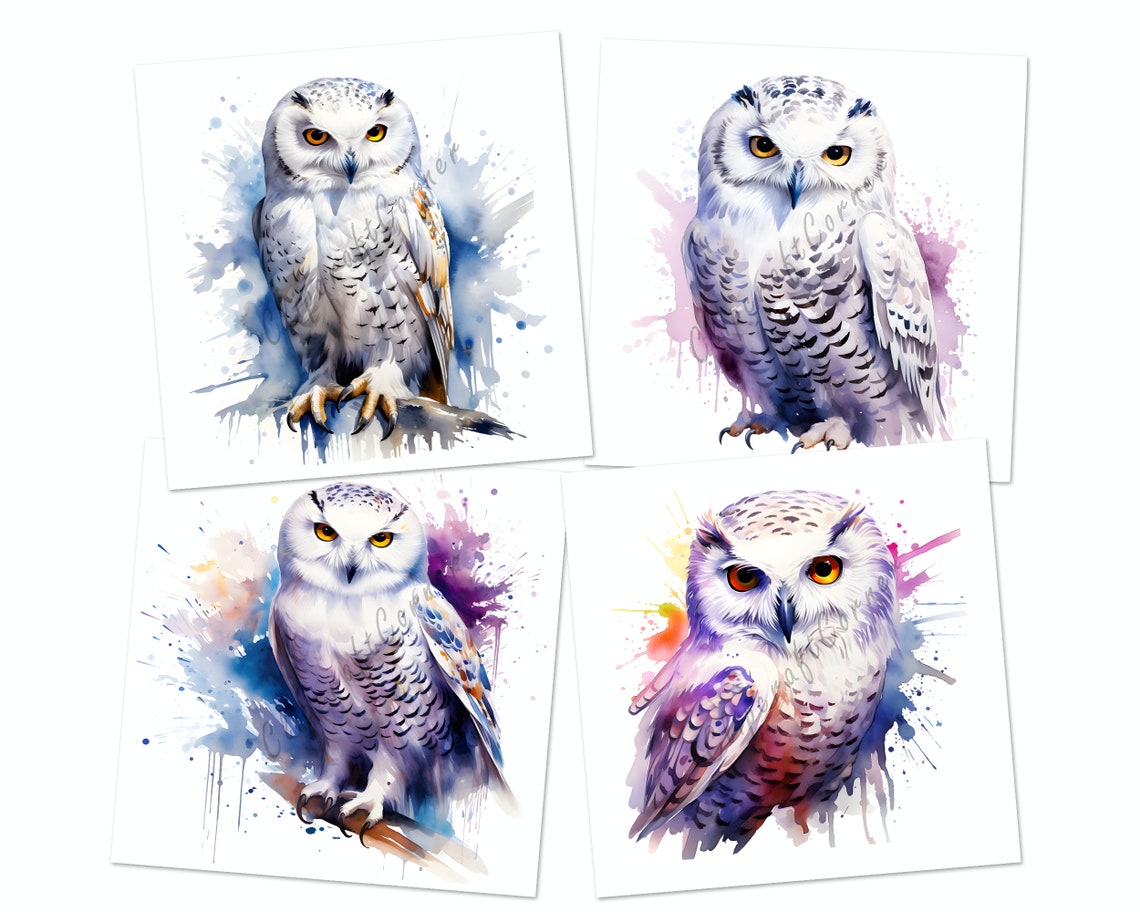 12 Snowy Owl Clipart PNG Art Bundle | Watercolor Bird Clipart PNG ...