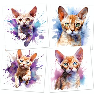 12 Devon Rex Cat Clipart PNG Bundle | Cute Watercolor Cat Clipart PNG ...