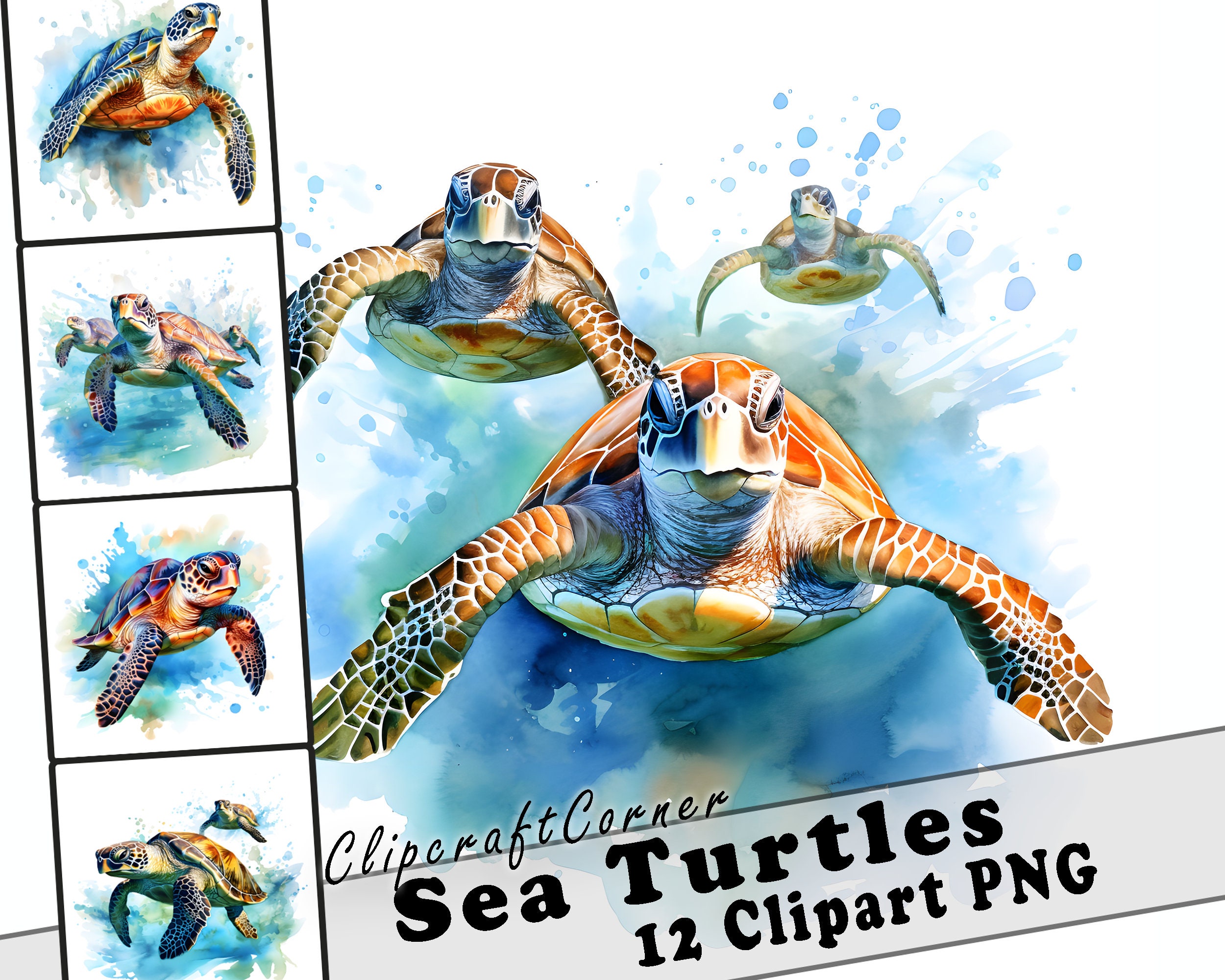 12 Sea Turtle Clipart PNG Bundle | Watercolor Sea Animals Clipart PNG ...