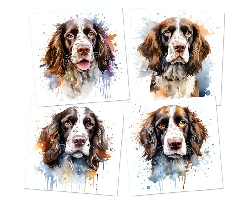 15 English Springer Spaniel Clipart PNG Bundle | Watercolor Dog Clipart ...