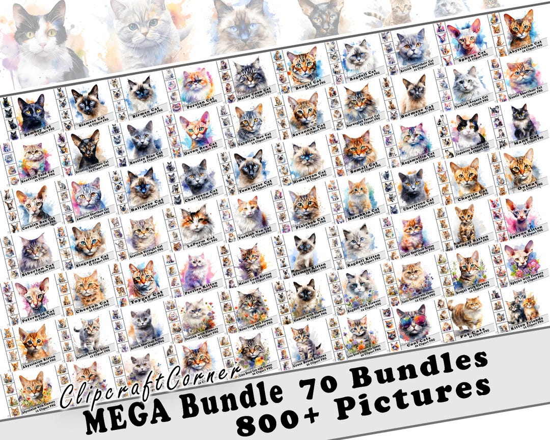 800+ Watercolor Cat Mega Bundle Clipart PNG | Funny Cat Bundle | 60 ...