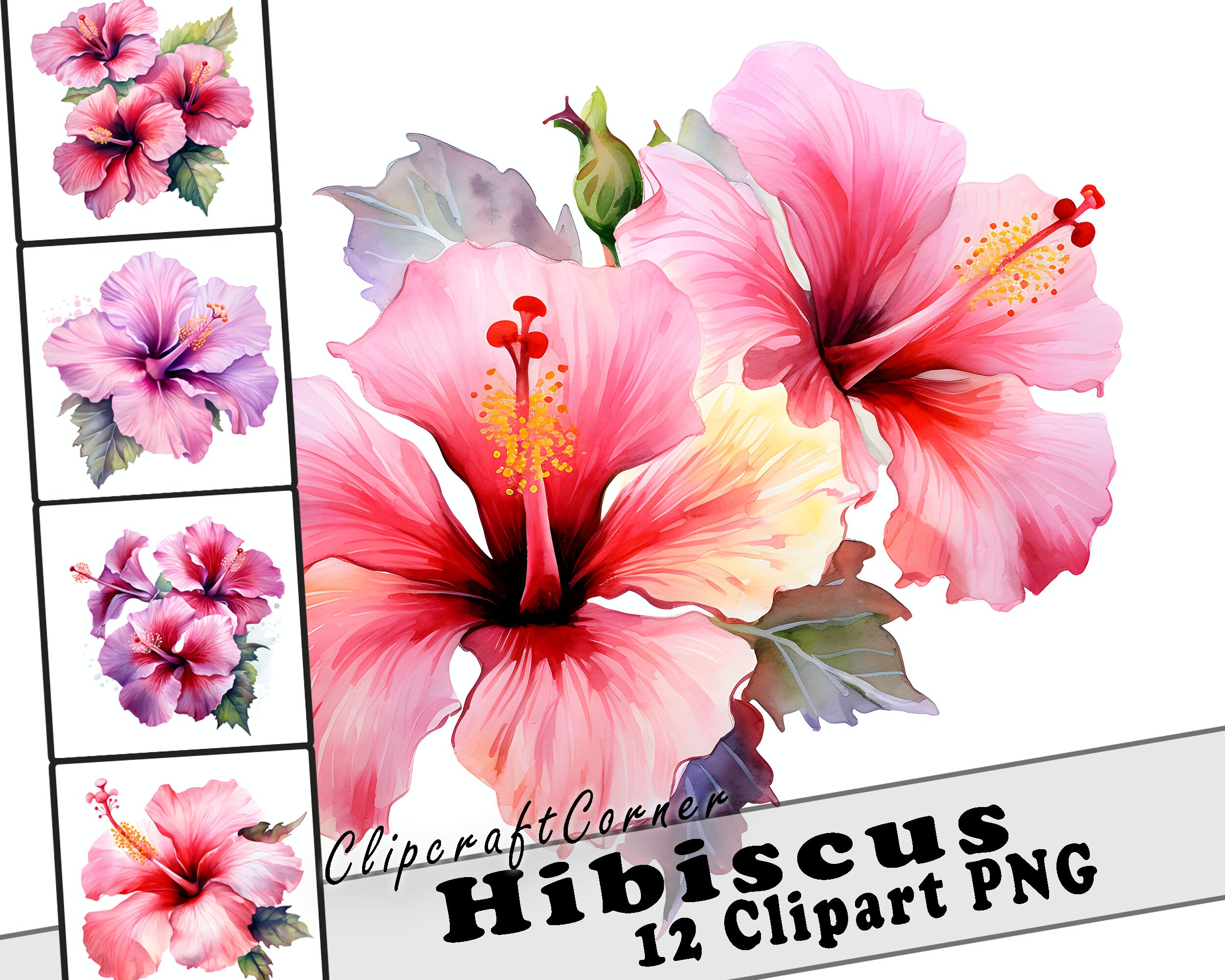 12 Hibiscus Clipart PNG Art Bundle | Watercolor Flower Clipart PNG ...