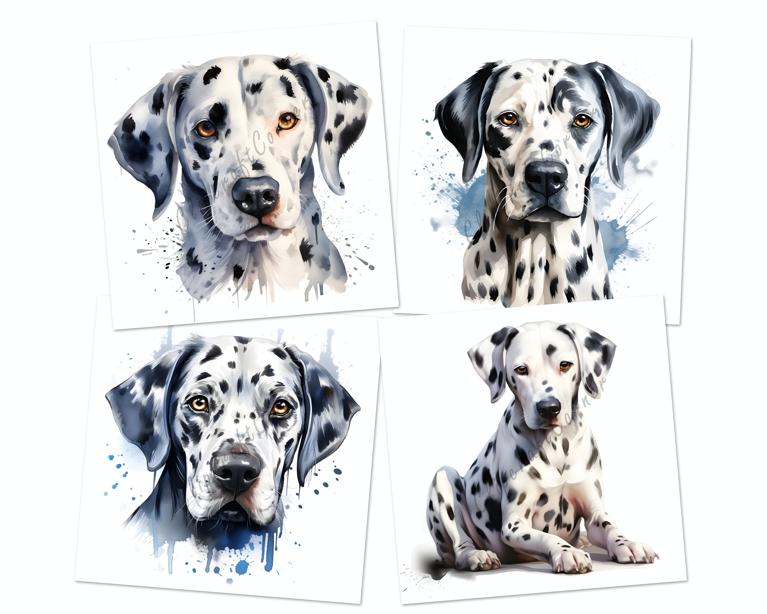 12 Dalmatian Clipart PNG Bundle | Watercolor Dog Clipart PNG | 51 - Etsy