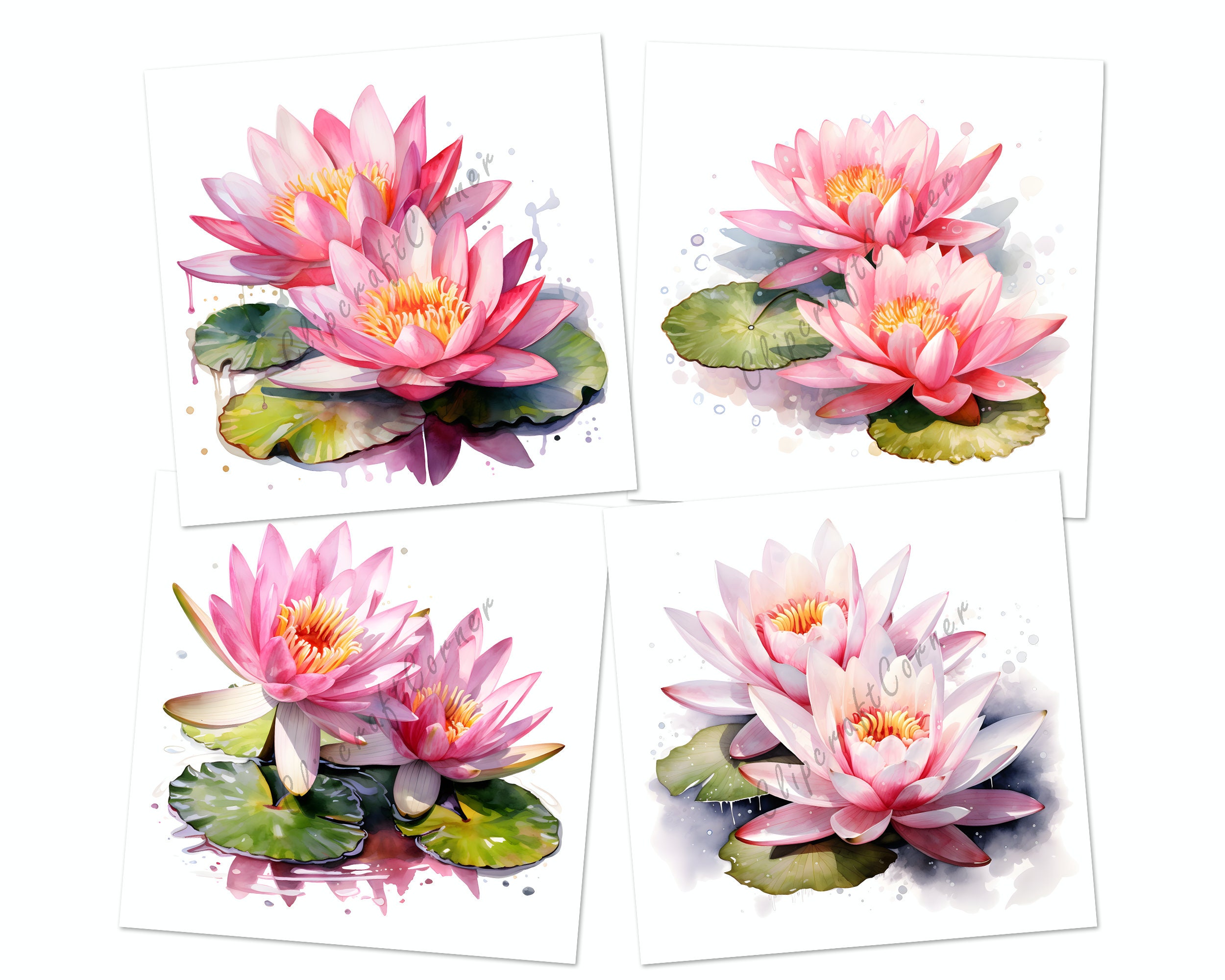 12 Pink Water Lily Clipart PNG Art Bundle | Watercolor Flower Clipart ...