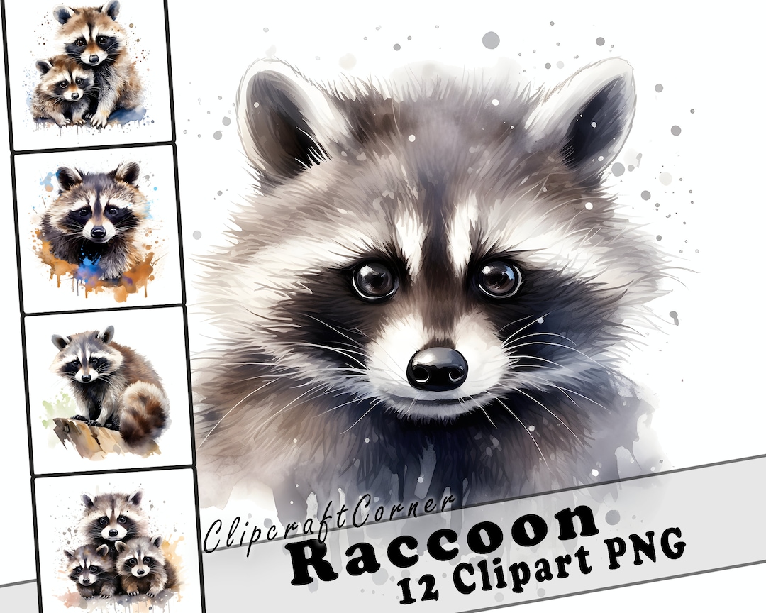 12 Raccoon Clipart PNG Forest Animal Bundle | Watercolor Raccoon ...