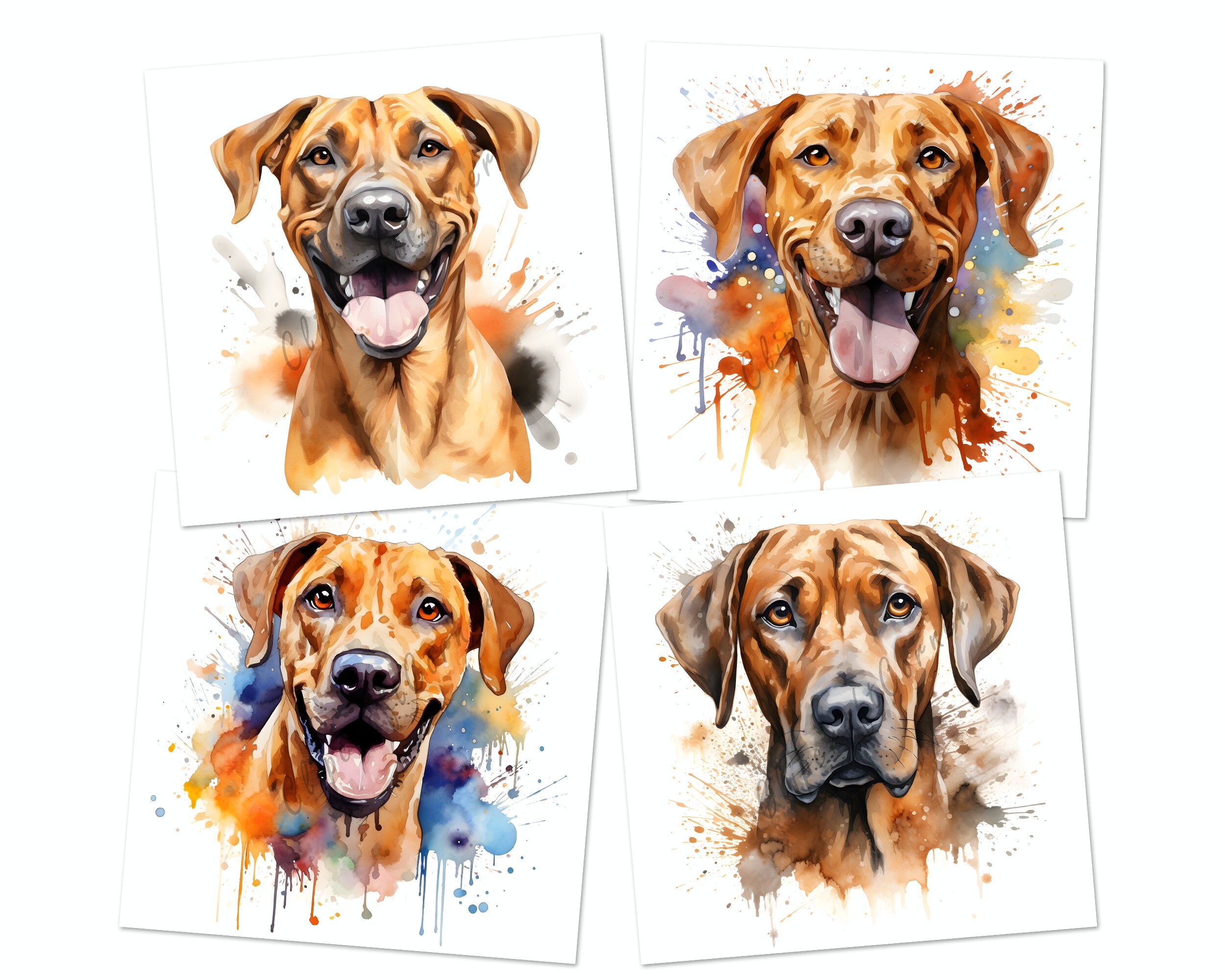 11 Rhodesian Ridgeback Clipart PNG Bundle | Watercolor Dog Clipart PNG ...