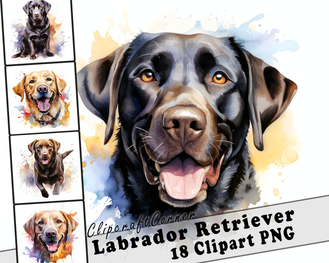 18 Labrador Retriever Clipart PNG Bundle | Watercolor Dog Clipart PNG ...