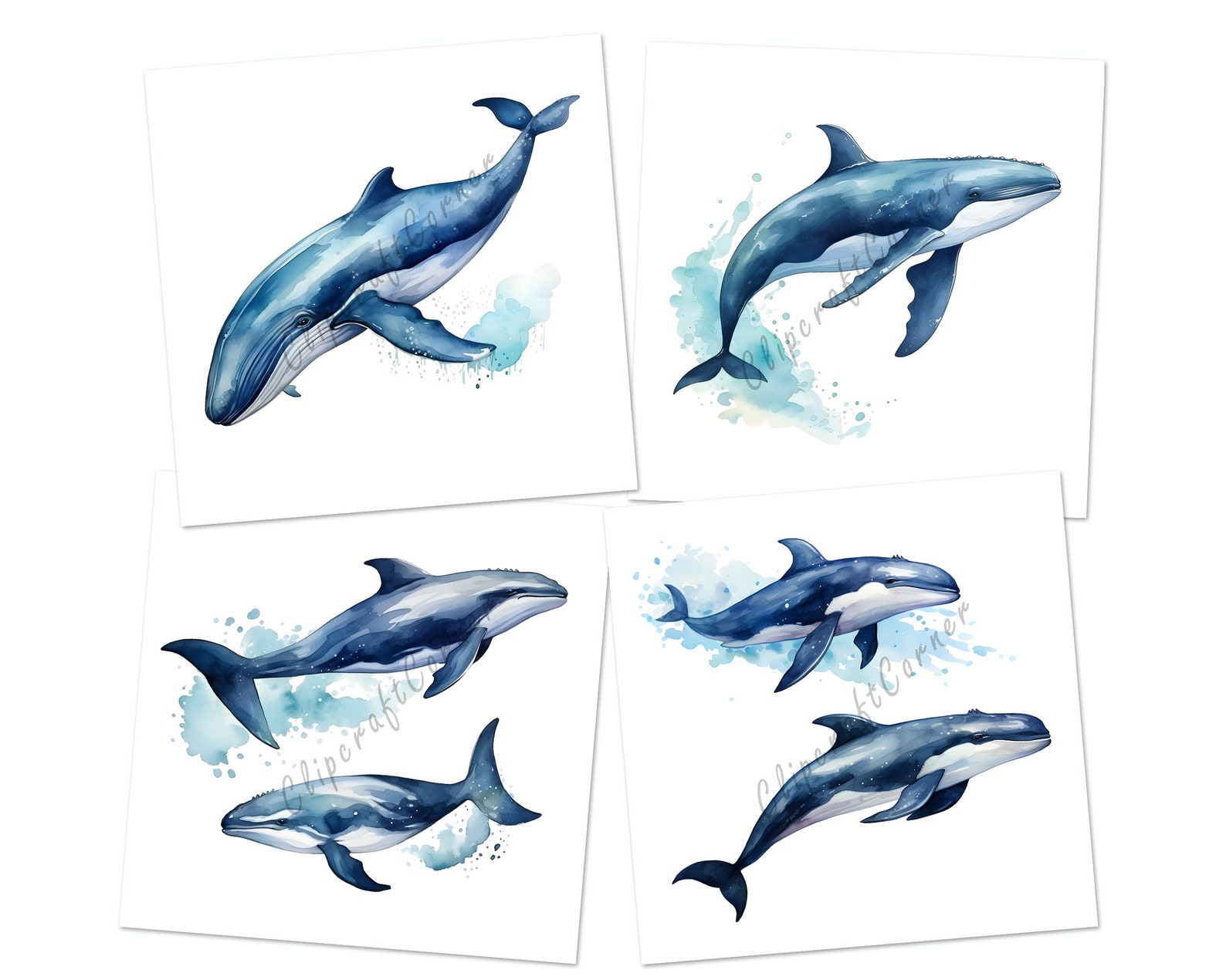12 Whale Clipart PNG Bundle Watercolor Sea Animals Clipart PNG Ocean ...