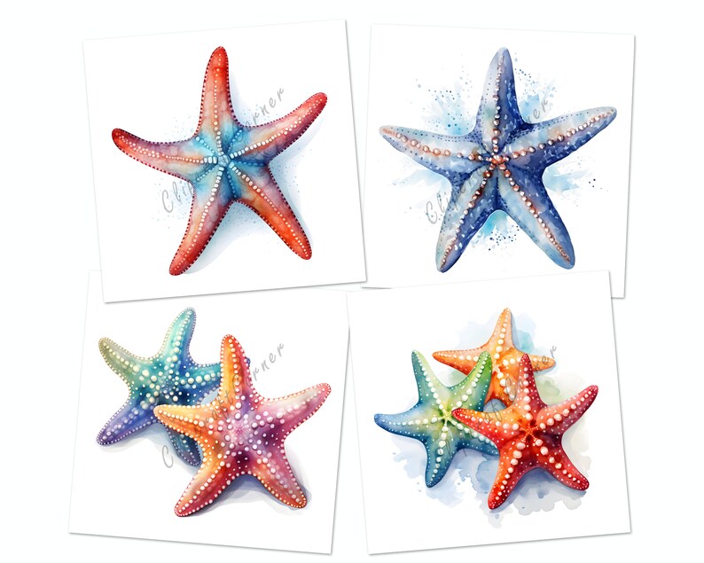 12 Starfish Clipart PNG Bundle | Watercolor Sea Animals Clipart PNG ...