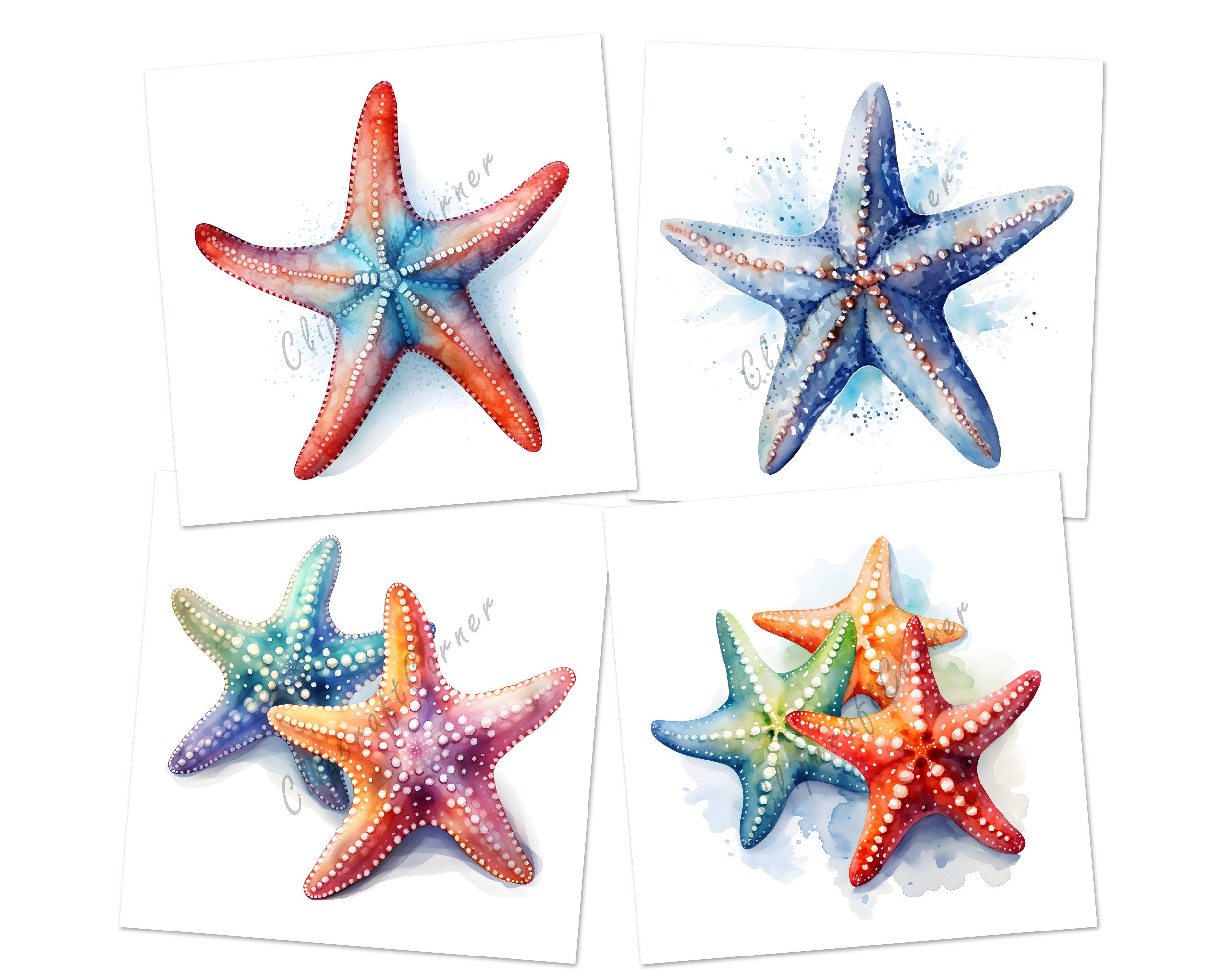 12 Starfish Clipart PNG Bundle | Watercolor Sea Animals Clipart PNG ...