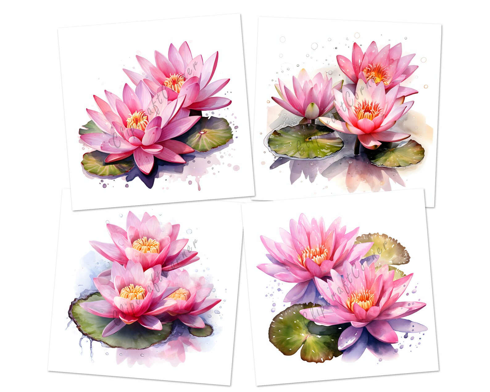 12 Pink Water Lily Clipart PNG Art Bundle | Watercolor Flower Clipart ...