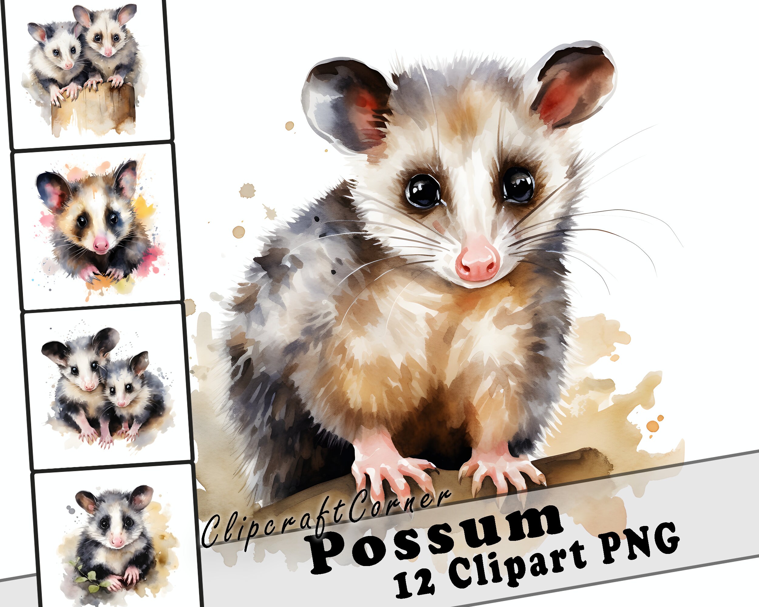 12 Possum Clipart PNG Forest Animal Bundle | Watercolor Possum Clipart ...