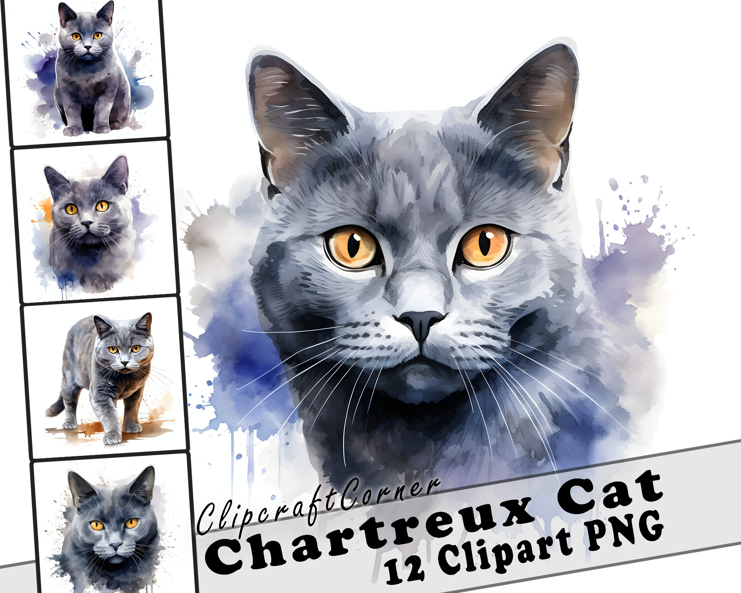 12 Chartreux Cat Clipart PNG Bundle | Cute Watercolor Cat Clipart PNG ...