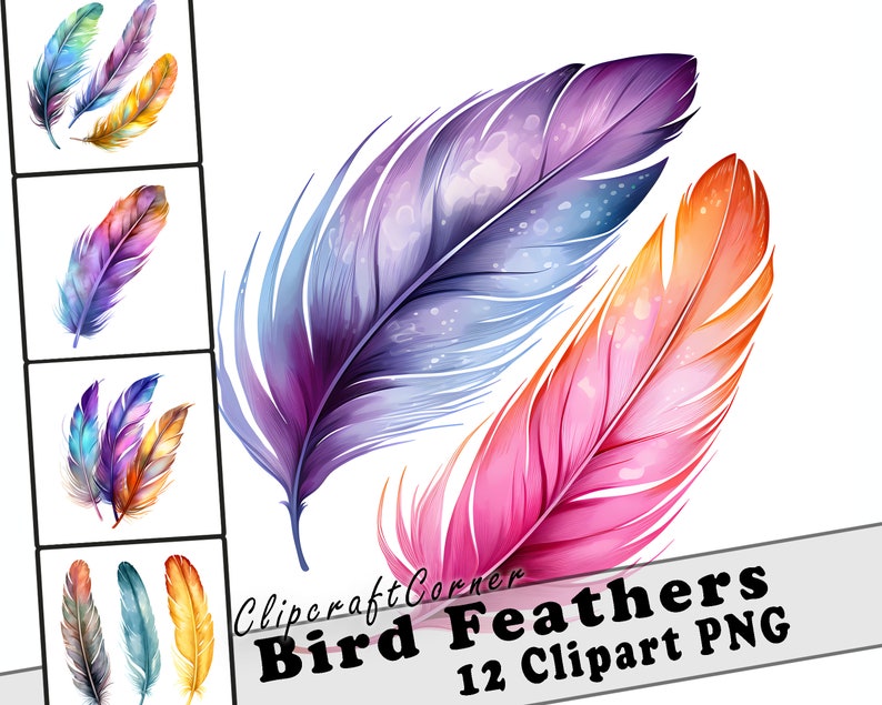 12 Tropical Bird Feather Clipart PNG Bundle Tropical Watercolor Clipart PNG Summer Clipart PNG ...