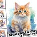 12 Munchkin Cat Clipart PNG Bundle Cute Watercolor Cat Clipart PNG 537 ...