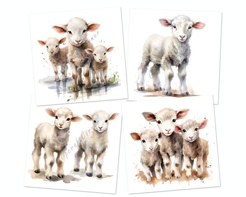 12 Lamb Clipart PNG Bundle | Watercolor Sheep Clipart PNG | Farm Animal ...