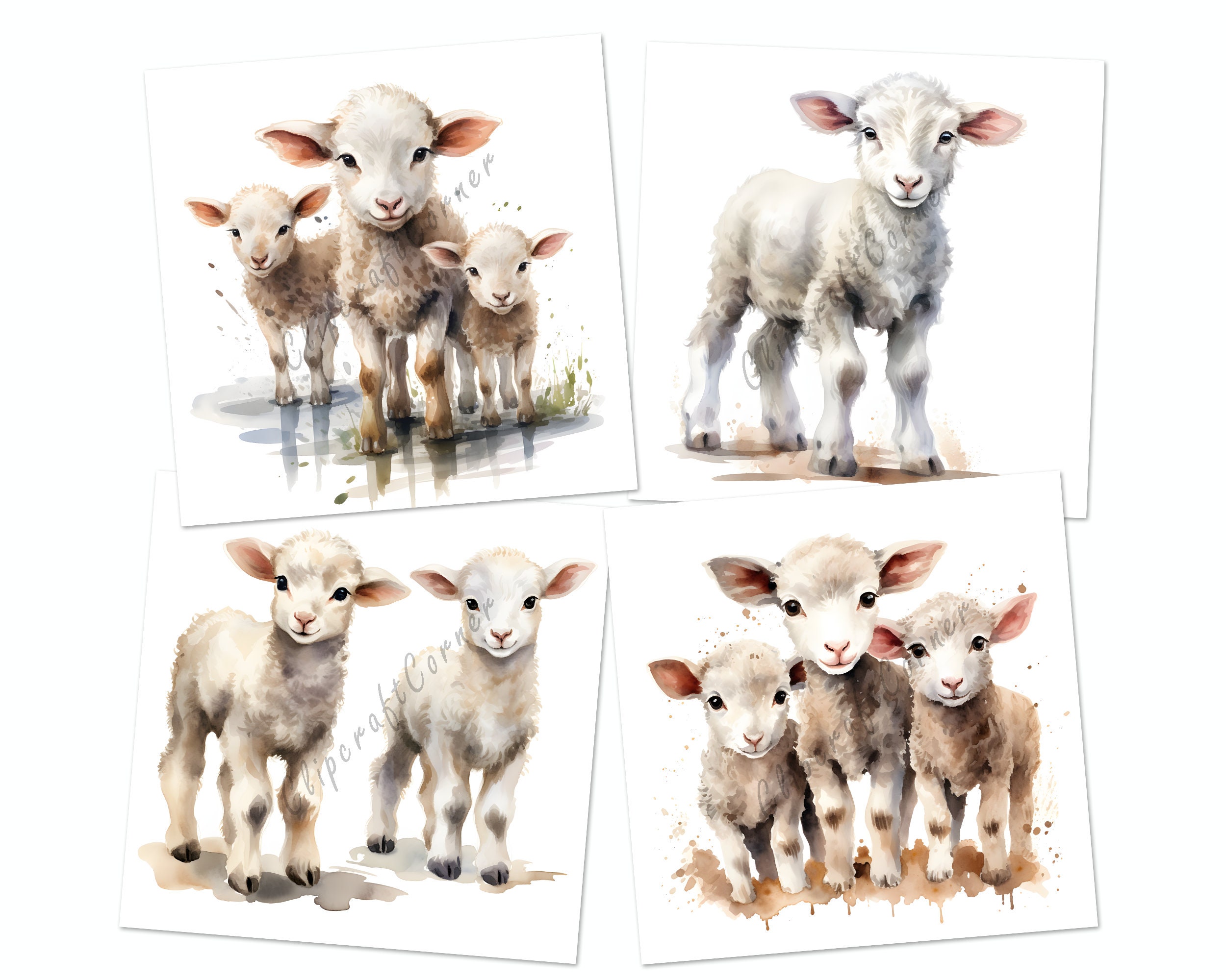 12 Lamb Clipart PNG Bundle | Watercolor Sheep Clipart PNG | Farm Animal ...