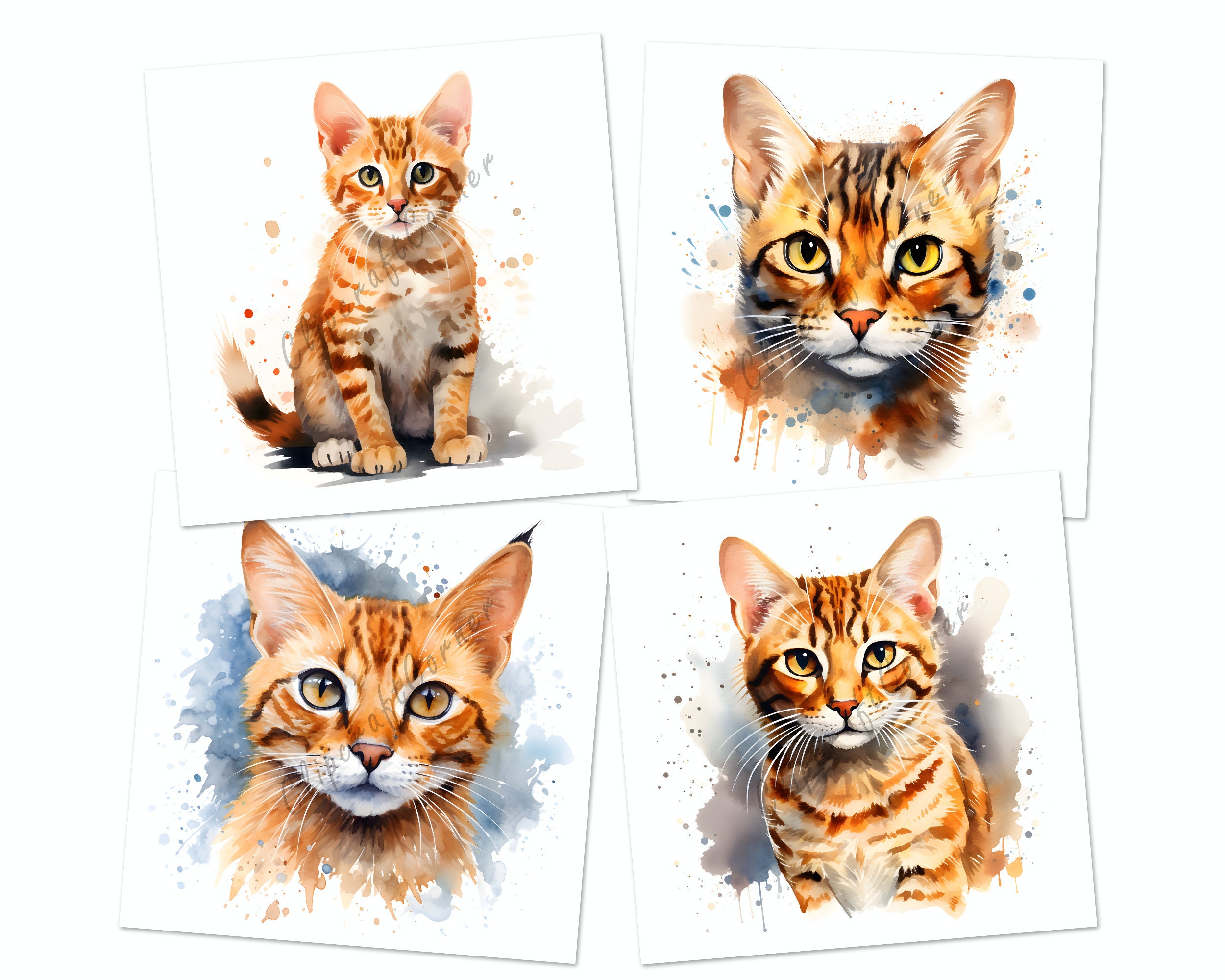 12 Cheetoh Cat Clipart PNG Bundle Cute Watercolor Cat Clipart PNG 542 ...