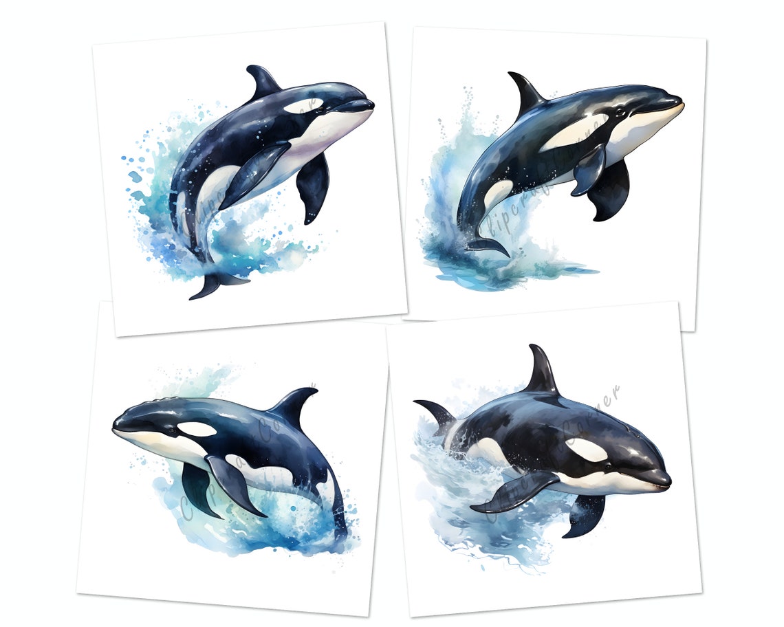 12 Orca Clipart PNG Bundle | Watercolor Sea Animals Clipart PNG | Ocean ...