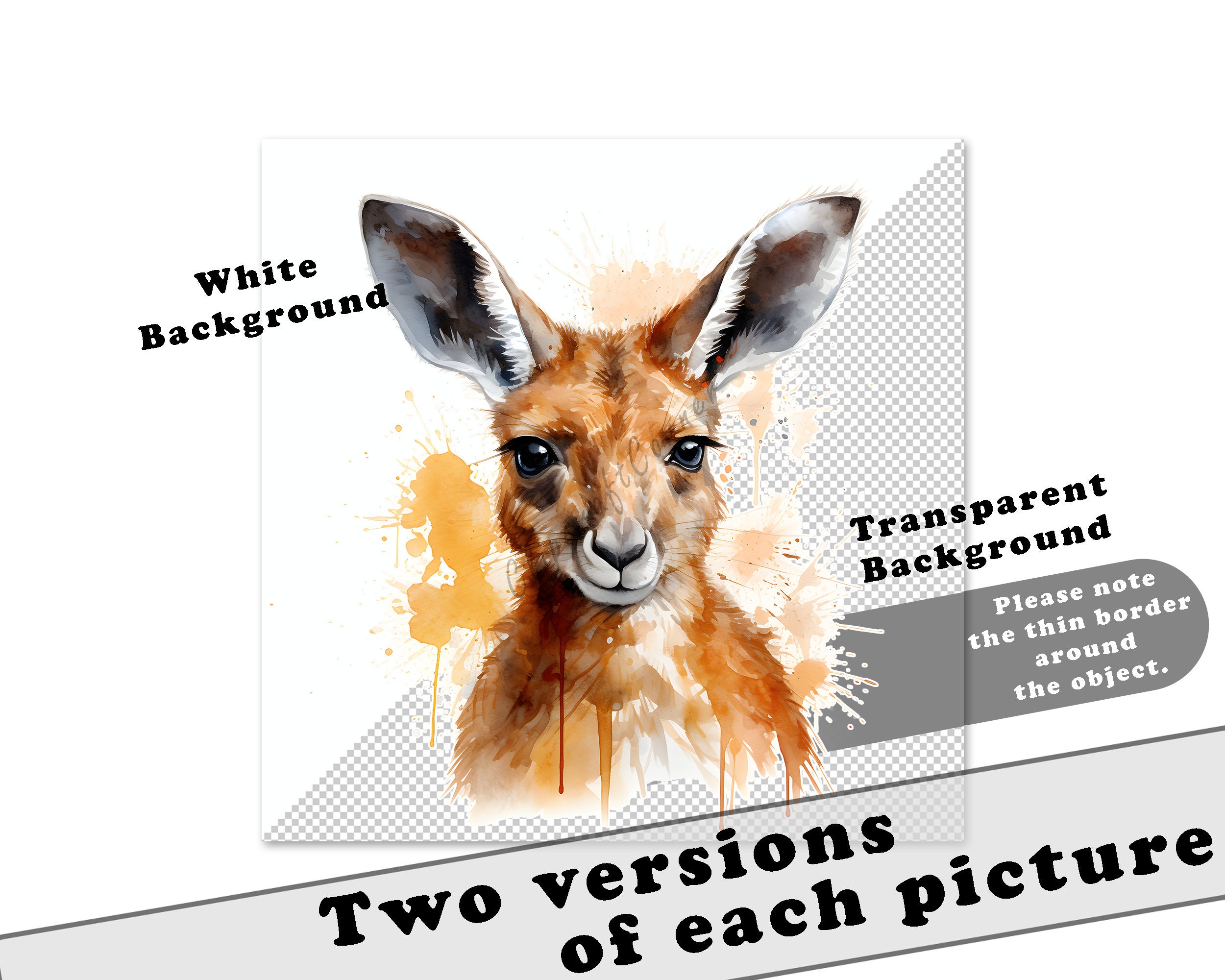 12 Kangaroo Clipart PNG Forest Animal Bundle Watercolor Kangaroo ...