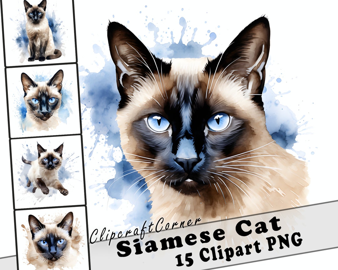 15 Siamese Cat Clipart PNG Bundle | Cute Watercolor Cat Clipart PNG ...