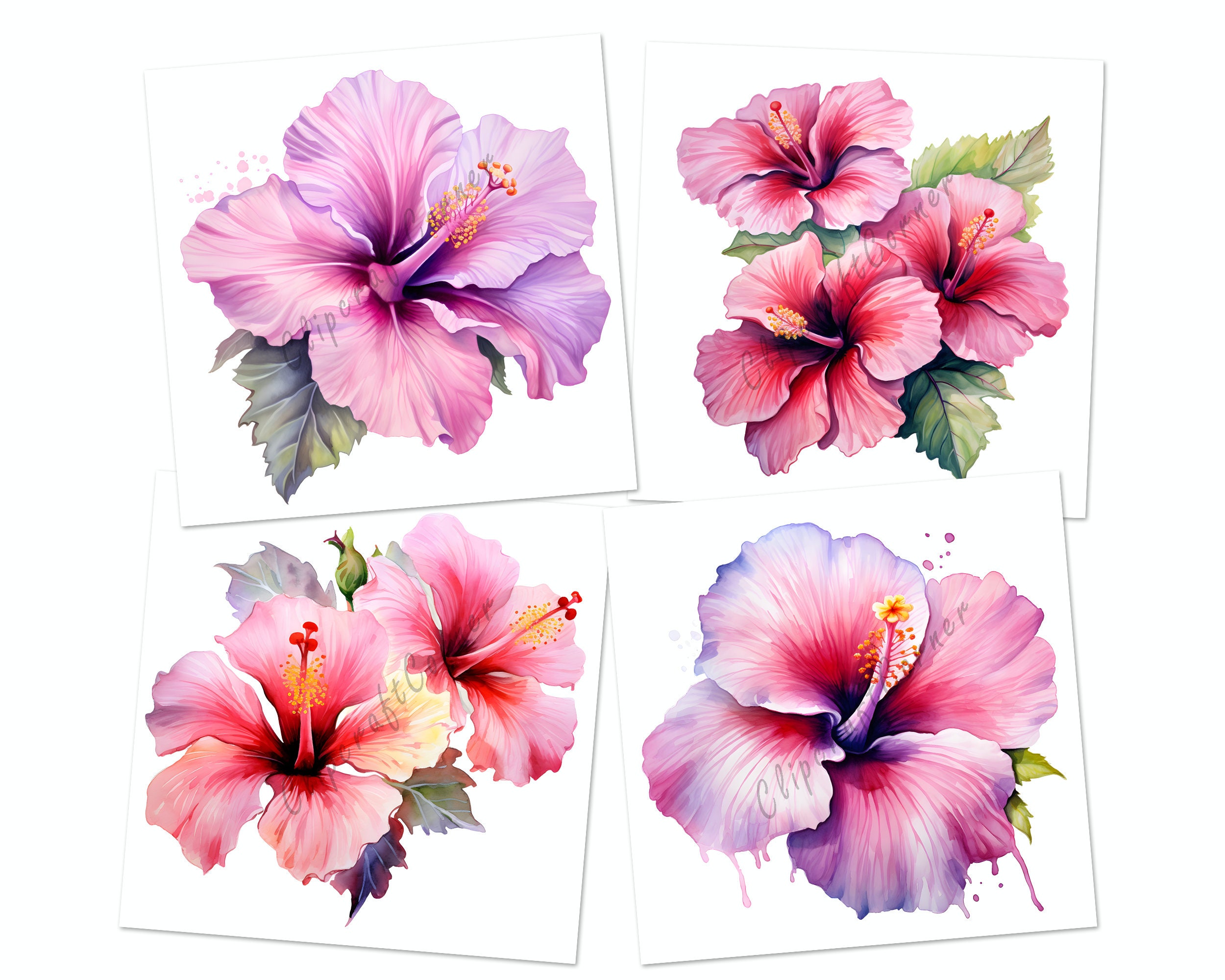 12 Hibiscus Clipart PNG Art Bundle | Watercolor Flower Clipart PNG ...