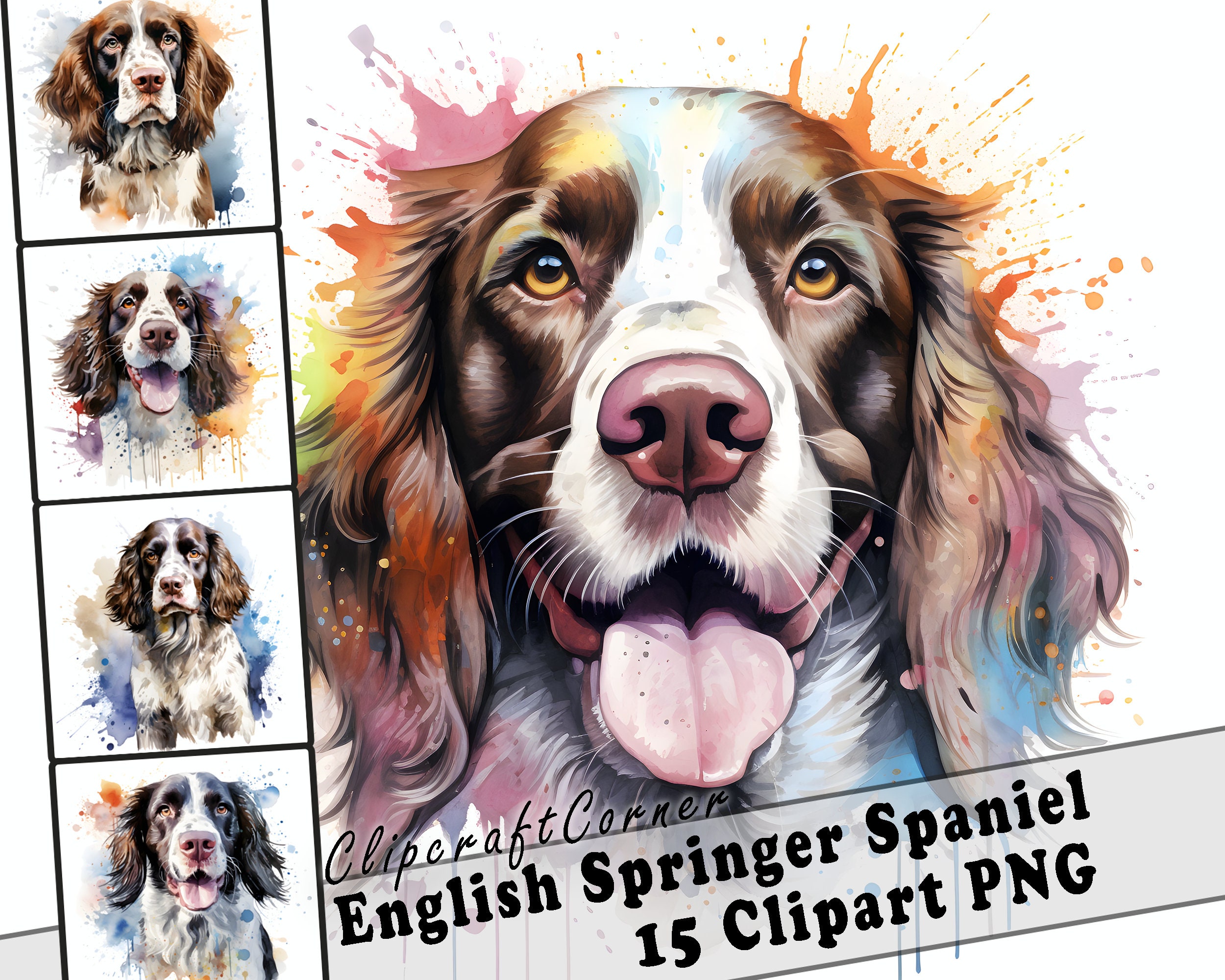 15 English Springer Spaniel Clipart PNG Bundle | Watercolor Dog Clipart ...