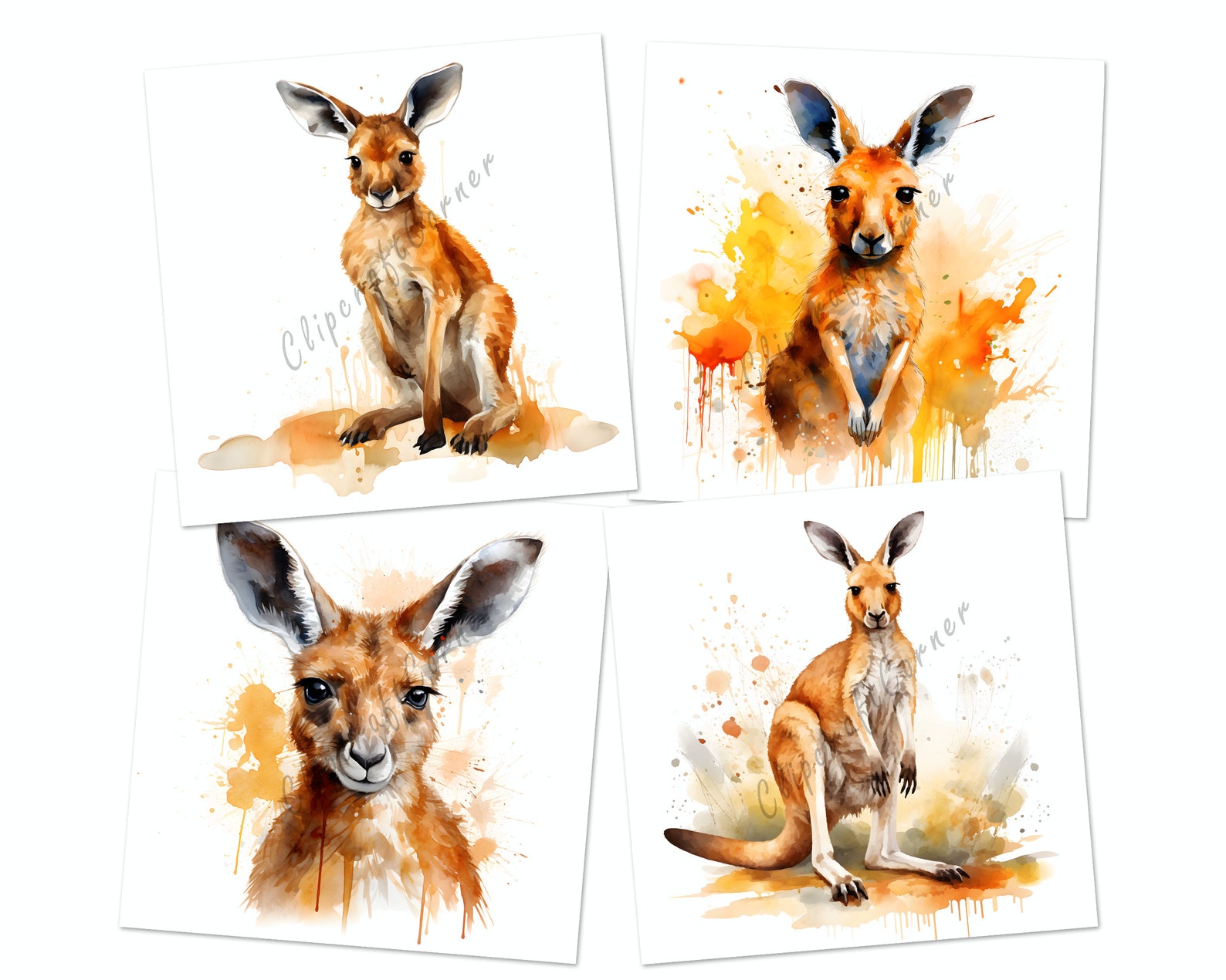 12 Kangaroo Clipart PNG Forest Animal Bundle Watercolor Kangaroo ...