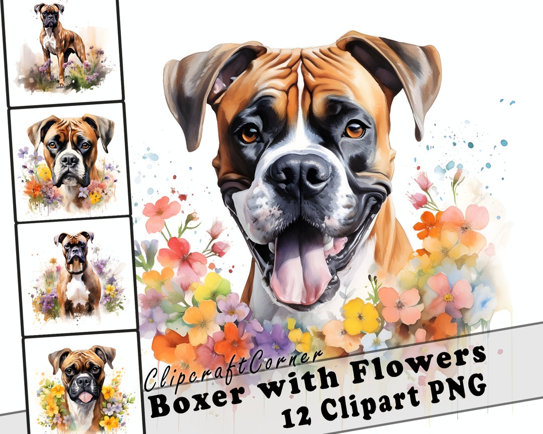 12 Boxer and Flowers Clipart PNG Bundle | Watercolor Dog Clipart PNG ...