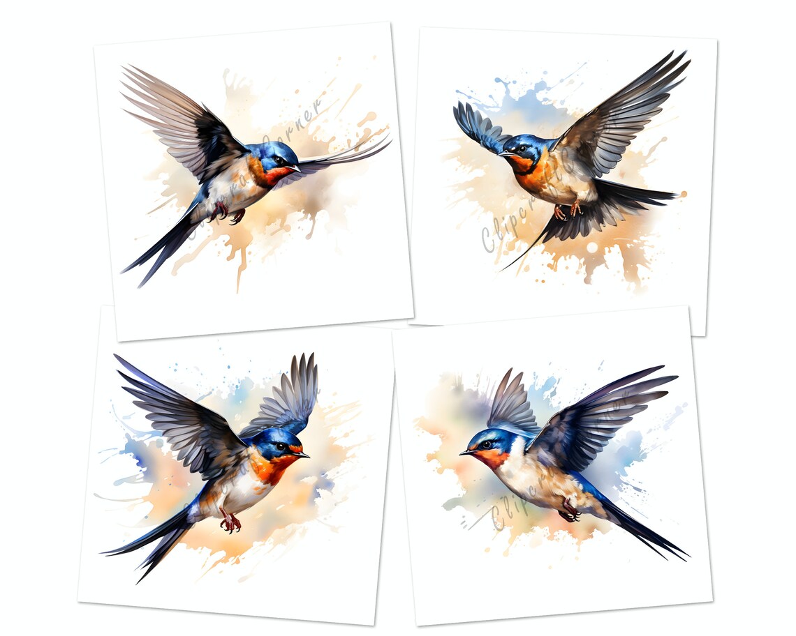 12 Barn Swallow Clipart PNG Art Bundle | Watercolor Bird Clipart PNG ...