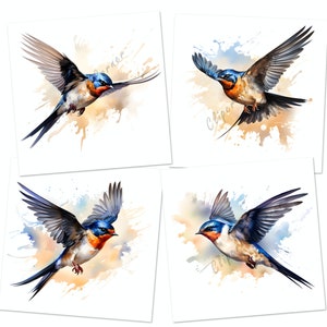 12 Barn Swallow Clipart PNG Art Bundle | Watercolor Bird Clipart PNG ...