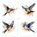 12 Barn Swallow Clipart PNG Art Bundle | Watercolor Bird Clipart PNG ...