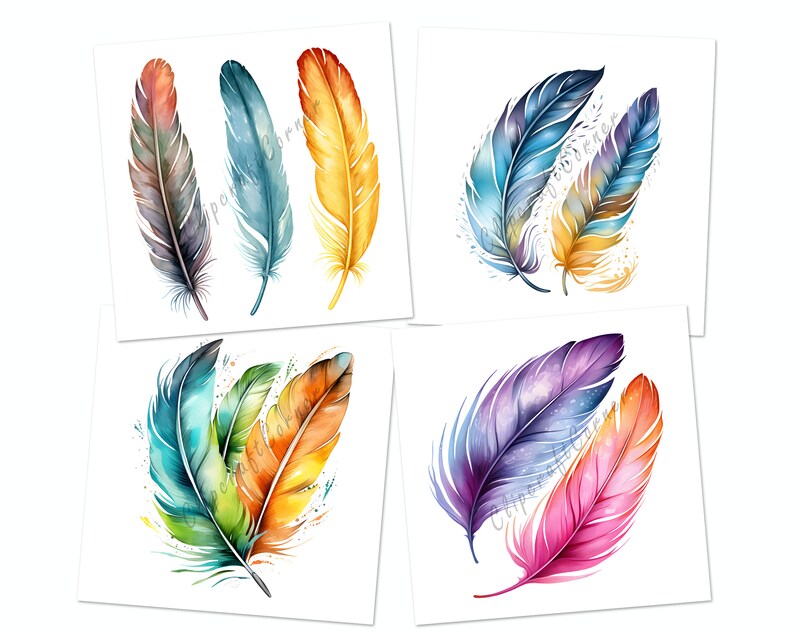 12 Tropical Bird Feather Clipart PNG Bundle Tropical Watercolor Clipart PNG Summer Clipart PNG ...