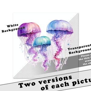 12 Jellyfish Clipart PNG Bundle | Watercolor Sea Animals Clipart PNG ...