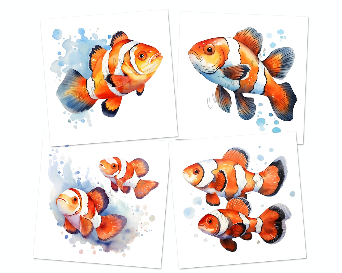 12 Clownfish Clipart PNG Bundle Watercolor Sea Animals Clipart PNG ...