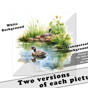 12 Duck Pond Clipart PNG Bundle | Watercolor Duck Pond Clipart PNG ...