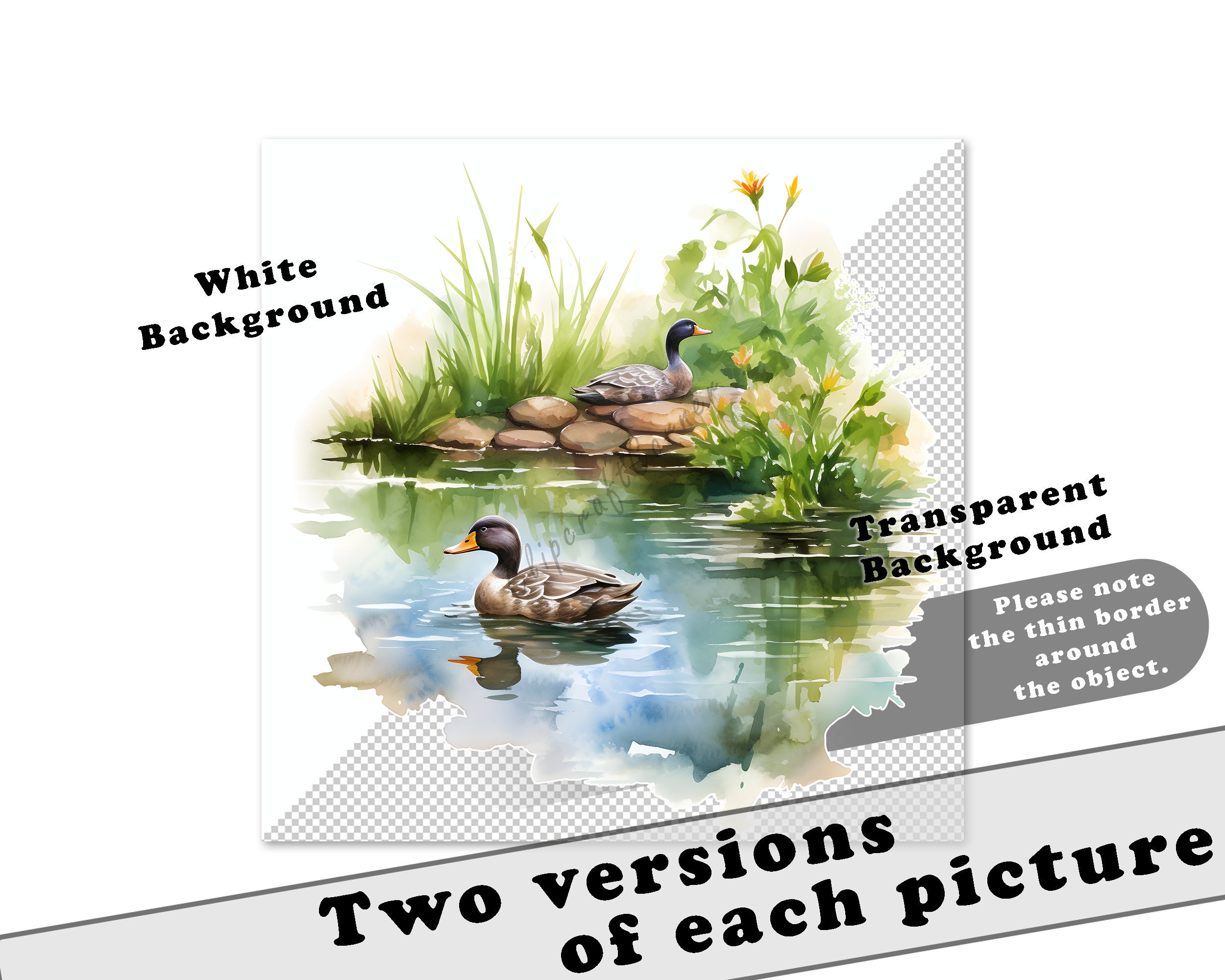 12 Duck Pond Clipart PNG Bundle | Watercolor Duck Pond Clipart PNG ...