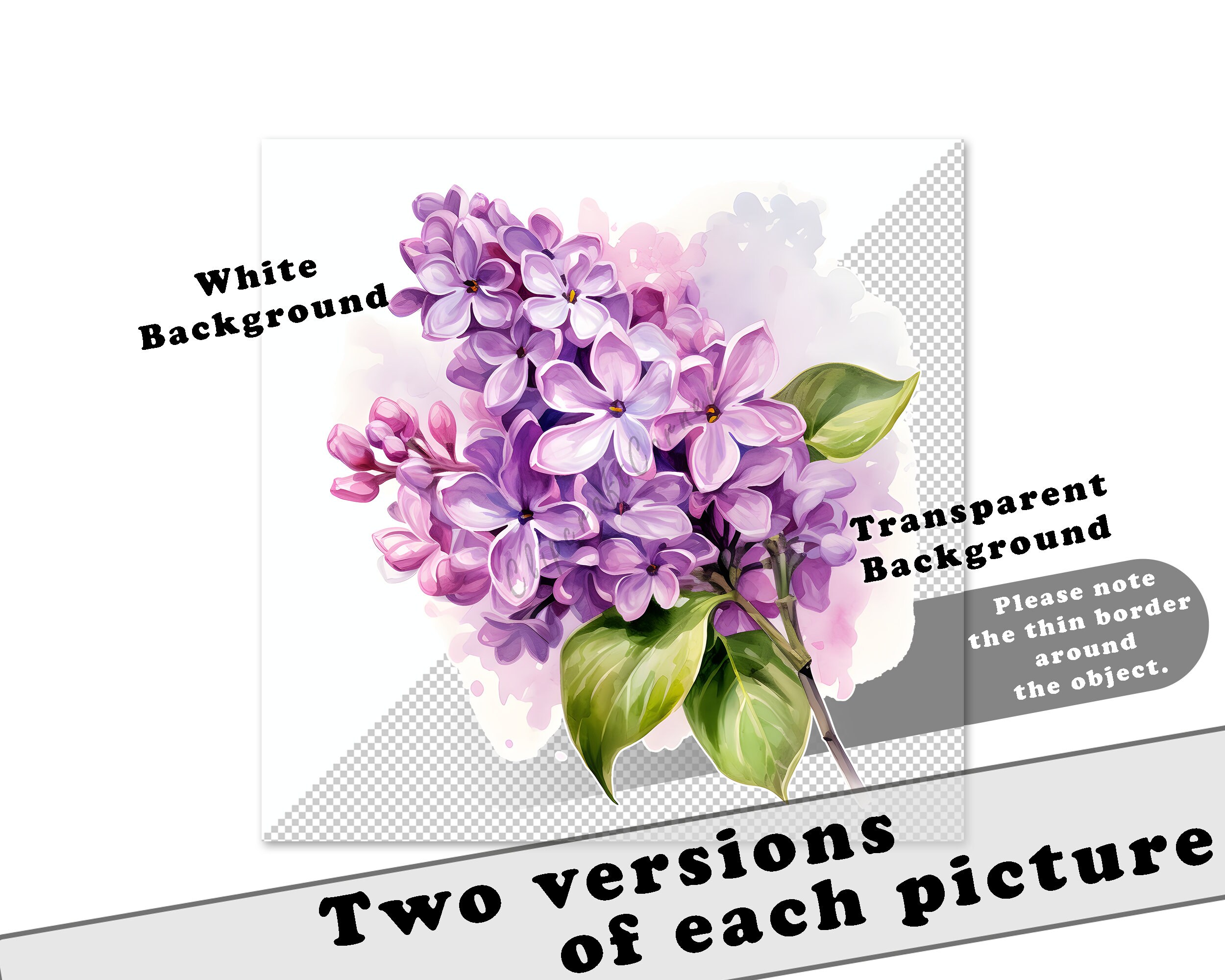 12 Lilac Clipart PNG Art Bundle | Watercolor Flower Clipart PNG Artwork ...