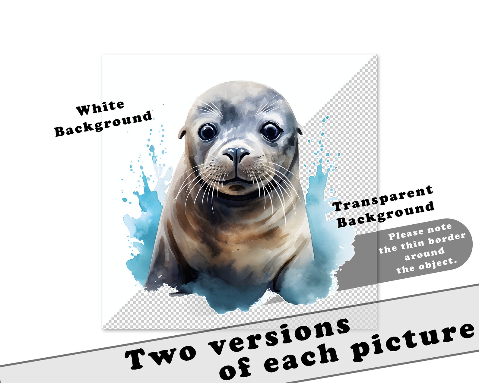 12 Seal Clipart PNG Bundle | Watercolor Sea Animals Clipart PNG | Ocean ...