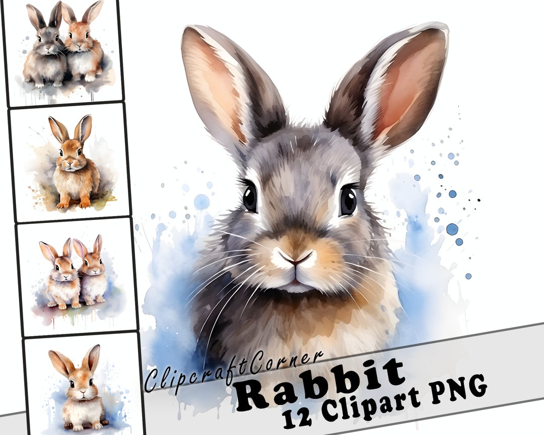 12 Rabbit Clipart PNG Forest Animal Bundle Watercolor Rabbit Clipart ...
