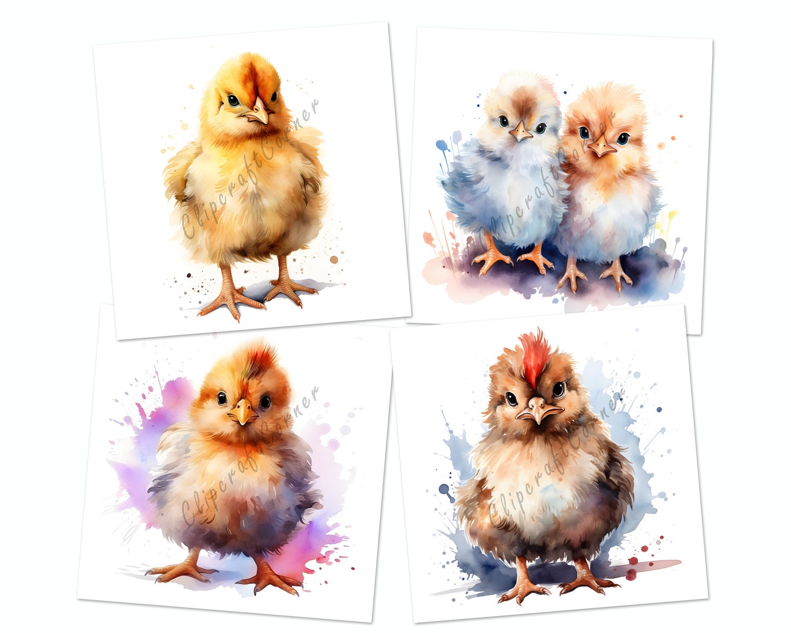 12 Chicks Clipart PNG Bundle | Watercolor Chicken Clipart PNG | Farm ...